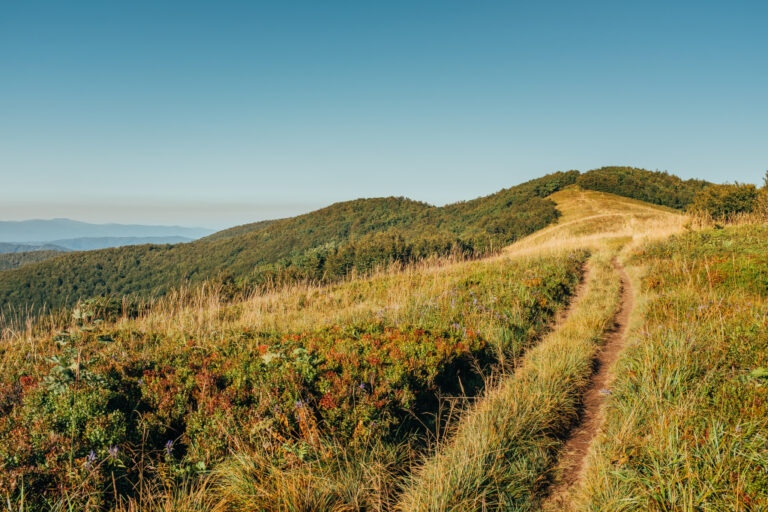 np_poloniny | Bikepacking.cz